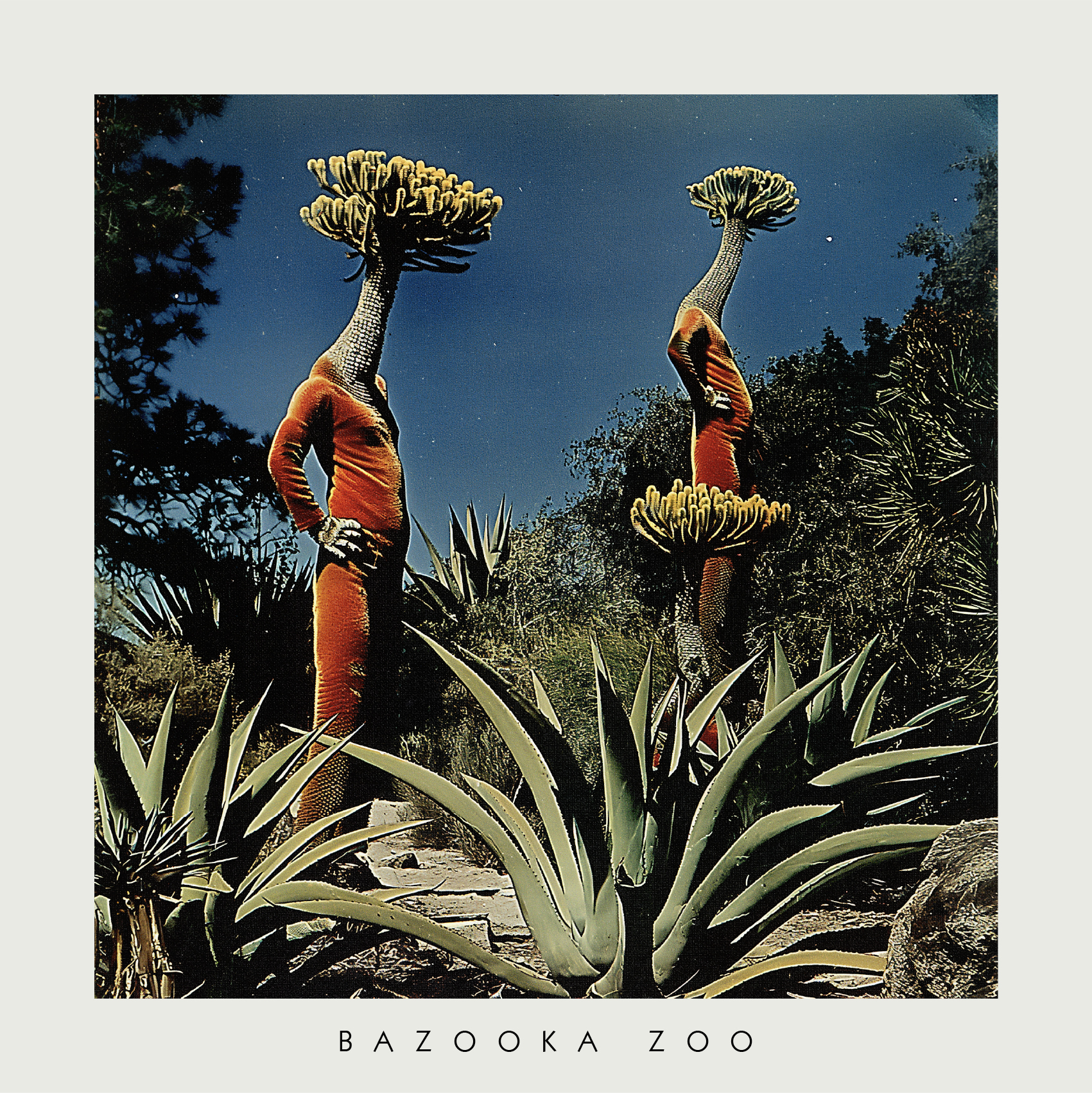 Apifera - Bazooka Zoo - Stones Throw Records