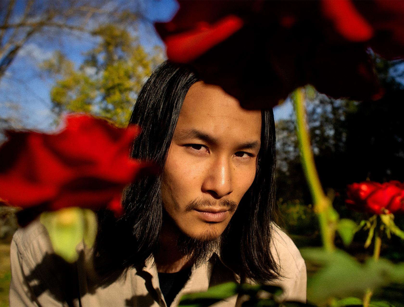 Introducing Lionmilk - Stones Throw Records